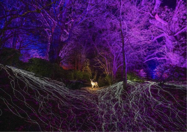 Monteviot Lights 2024 – Monteviot House & Gardens
